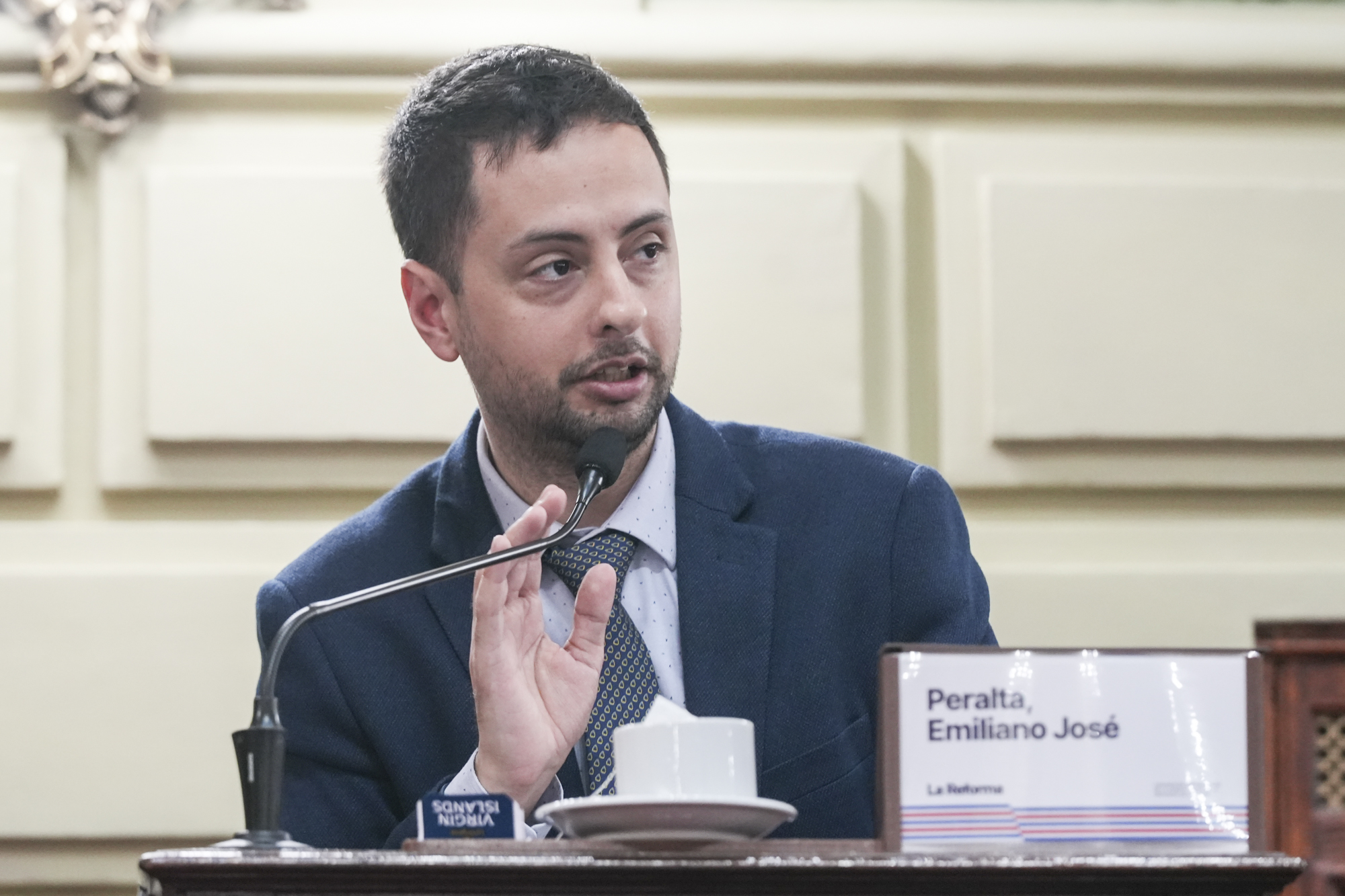 Emiliano Peralta, sobre la redacción final de la Constitución: “Hasta las mayúsculas controlamos ...