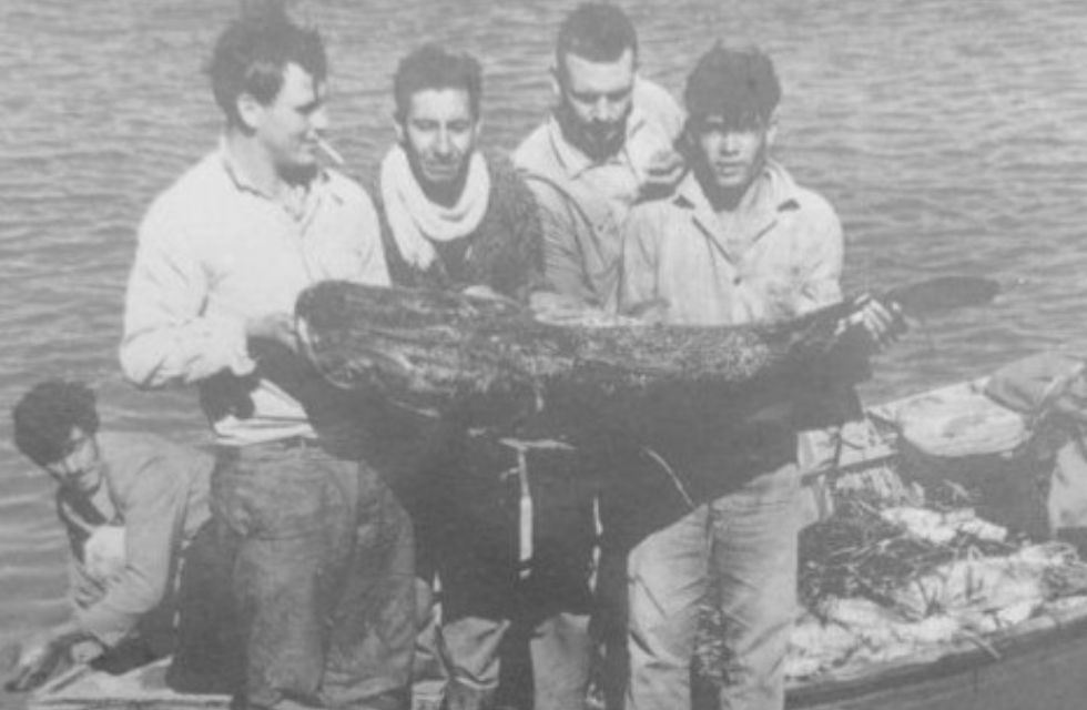 La historia del primer Concurso Argentino de Pesca del Surubí - Via Libre